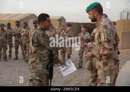 A Norwegian officer presents the Norwegian Ruck March pin and ...