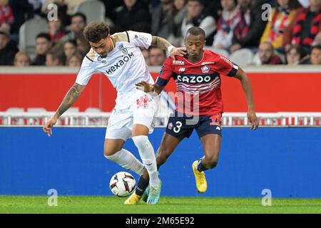 LILLE - Noah Holm of Stade Reims during the French Ligue 1 match ...
