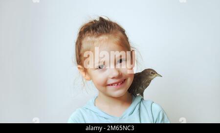 Grown up starling nestling sit on shoulder of little girl and sing with ...