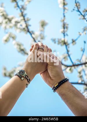 Hands, spring, love, hands. Lovers couple holding hands in a sakura ...
