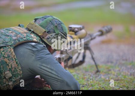 A group of Dutch Snipers, fries their Sniper Rifles at their assinged ...