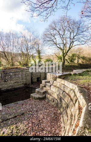 Stover Canal, Newton Abbot, Devon, UK. 26th Nov, 2024. UK Weather ...