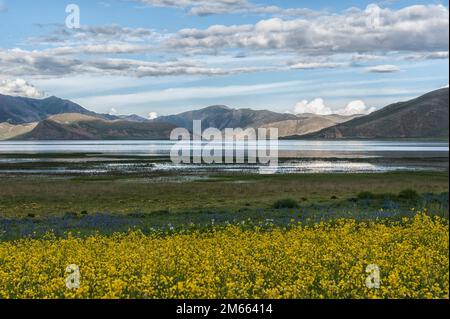 Beautiful tibetan landscape beetwen Samding Monastery on Yamdrok Lake, Tibet Stock Photo - Alamy