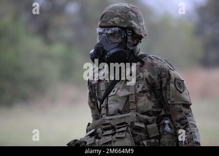 Spc. Telefer Agard, soldier with 203rd Military Intelligence Battalion ...
