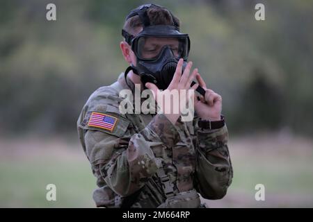 Sgt. Cassandra Watson, Soldier with 549th Military Intelligence ...