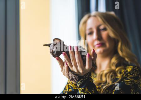 Medium shot of adorable young woman wearing casual clothing using ...