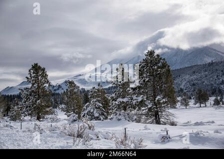 Winter snow really transforms the Eastern Sierra around Sherwin Grade ...