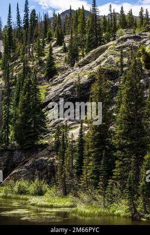 Bear Lake wooded shoreline with the Rocky Mountains in the distance ...