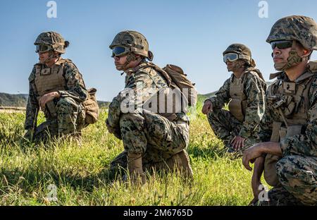Bulk fuel specialists with Marine Wing Support Squadron 473 (MWSS-473 ...