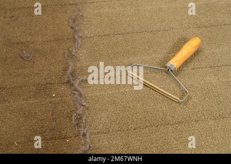 Top view of dust ball and carpet scraper tool on white background. Rug ...