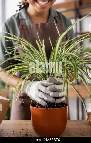 Cropped view of african american proprietor scanning box with shipping ...