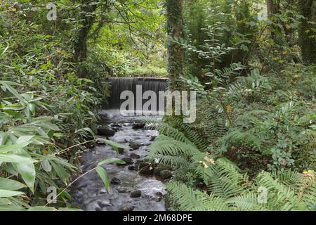 Parc Glynllifon Estate gardens are a hidden gem in North Wales. The ...