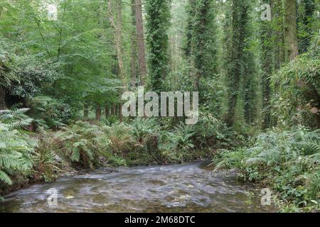 Parc Glynllifon Estate gardens are a hidden gem in North Wales. The ...