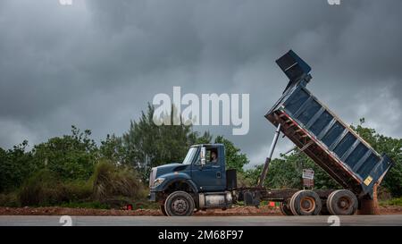 Members of Naval Mobile Construction Battalion Two Five (NMCB-25 ...