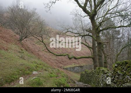 A 3 mile walk along the old Coffin Road links the Lakeland towns of ...