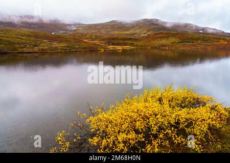Autumn season in Björkliden, small lake with trees and mountain ...
