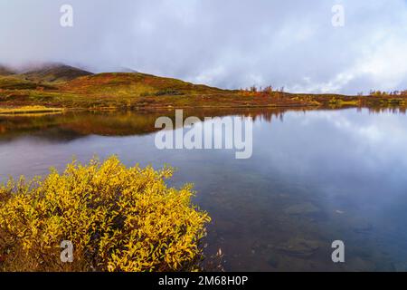 Autumn season in Björkliden, small lake with trees and mountain ...