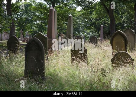 Sunderland City Council have expanded their no mow scheme to parts of ...