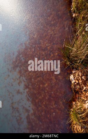 Autumn landscape at St. Ana Lake, in the heart of Transylvania, Romania ...