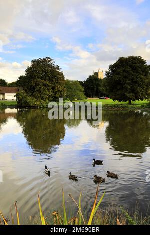 View over the duck pond at Great Massingham village, North Norfolk ...