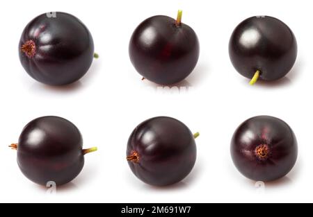 Josta hybrid gooseberry and black currant isolated on white Stock Photo ...