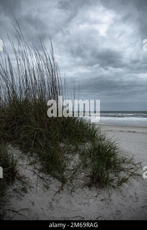 Sand dunes are created when wind deposits sand on top of each other ...