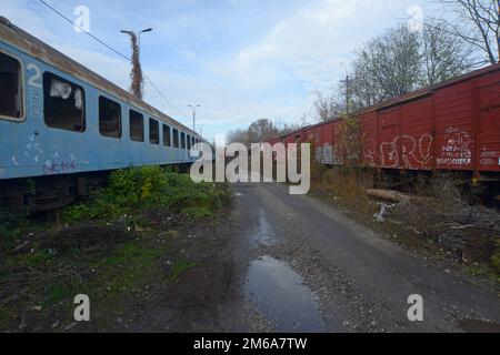Redundandt and disused railway carriages vandalised and covered in ...