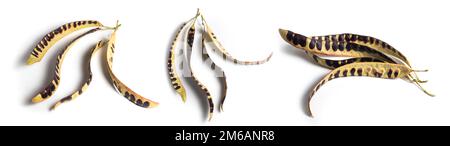 Dry acacia seeds isolated on white background Stock Photo - Alamy