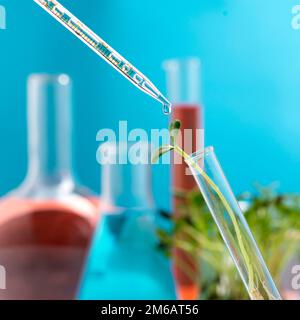 Microgreen sprout in a chemical test tube. Research on the beneficial ...