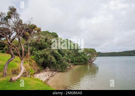 A beautiful shot of a peaceful Houhora Harbour in New Zealand ...