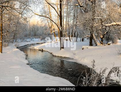 a wonderful sunny winter day, trees covered with white frost and grass ...