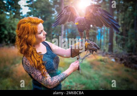 The Lady with the harris hawk Stock Photo - Alamy