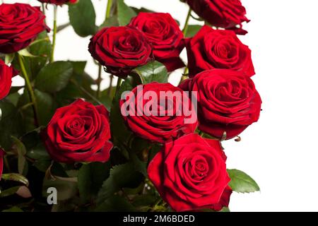 Many red roses on black background Stock Photo - Alamy