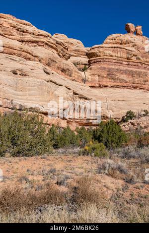 Backpacking in Grand Gulch and viewing Anasazi dwellings and rock art ...