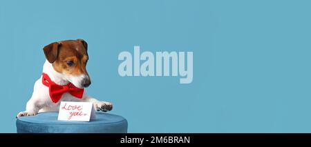 Jack Russel terrier and letter with text LOVE YOU on pouf against blue ...