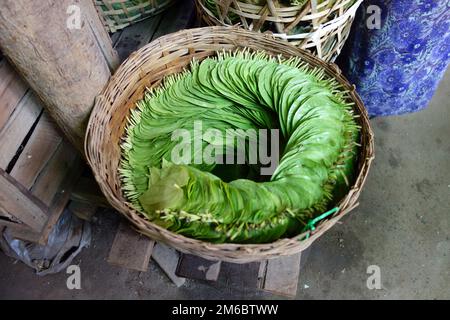 Betel leaves, Myanmar Stock Photo - Alamy