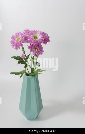Pink chrysanthemums on white background close up Stock Photo - Alamy