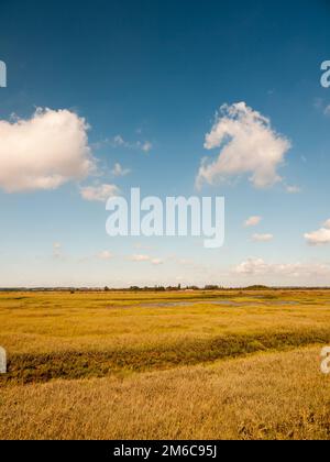 open marshland landscape scene with blue skies, clouds, and grass Stock ...