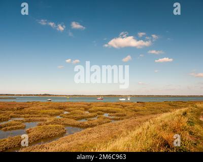 beautiful scene of river with boats grassland in front blue sky and ...