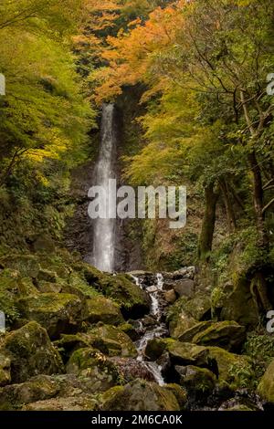 The Mountain View at the Yoro Waterfall in Gifu, Japan, November, 2016 ...