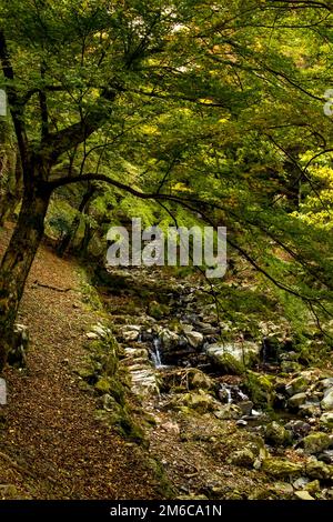 The Creek at the Yoro Waterfall in Gifu, Japan, November, 2016 Stock ...