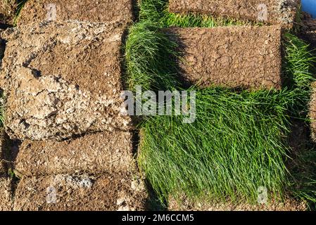 The rolled lawn folded in stacks outside Stock Photo - Alamy