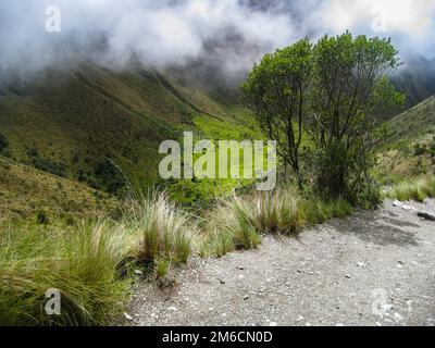 Ancient Inca Trail paved path to the lost city of Machu Picchu. Peru ...