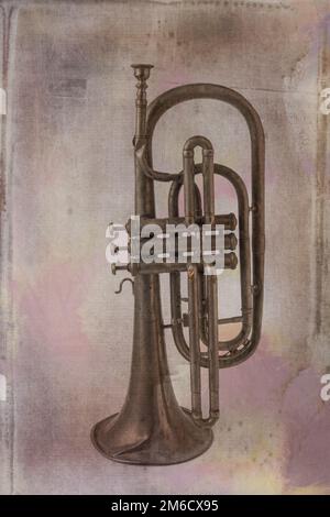 still life image of single horn Stock Photo - Alamy