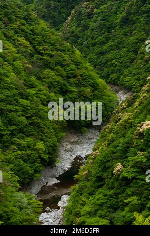 Oboke gorge, Iya Valley, Shikoku, Japn Stock Photo - Alamy