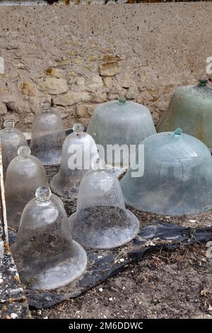 France large bell-shaped jars that 19th-century French market gardeners ...
