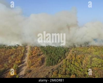 Forest fire, smoke of surrounding area. smoke and fire Stock Photo - Alamy