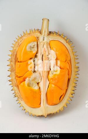 Elai, tropical fruits like durian fruit Stock Photo - Alamy