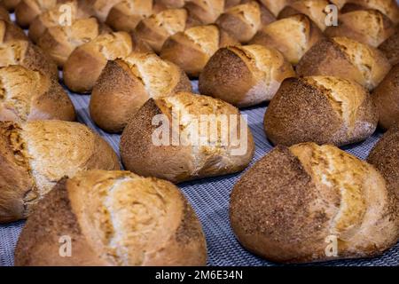 Industrial bakery line process of bread production Stock Photo - Alamy