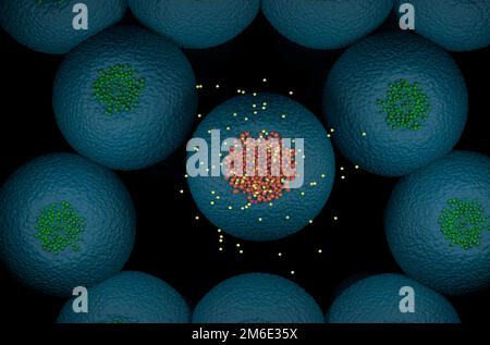 Postsynaptic neuron receptors (dendrite) receive emitted ...